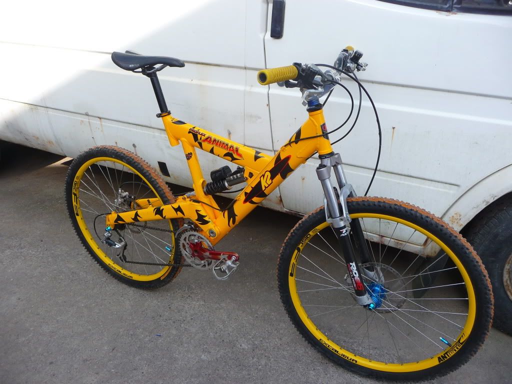 my 1st build - 98' proflex animal | Retrobike