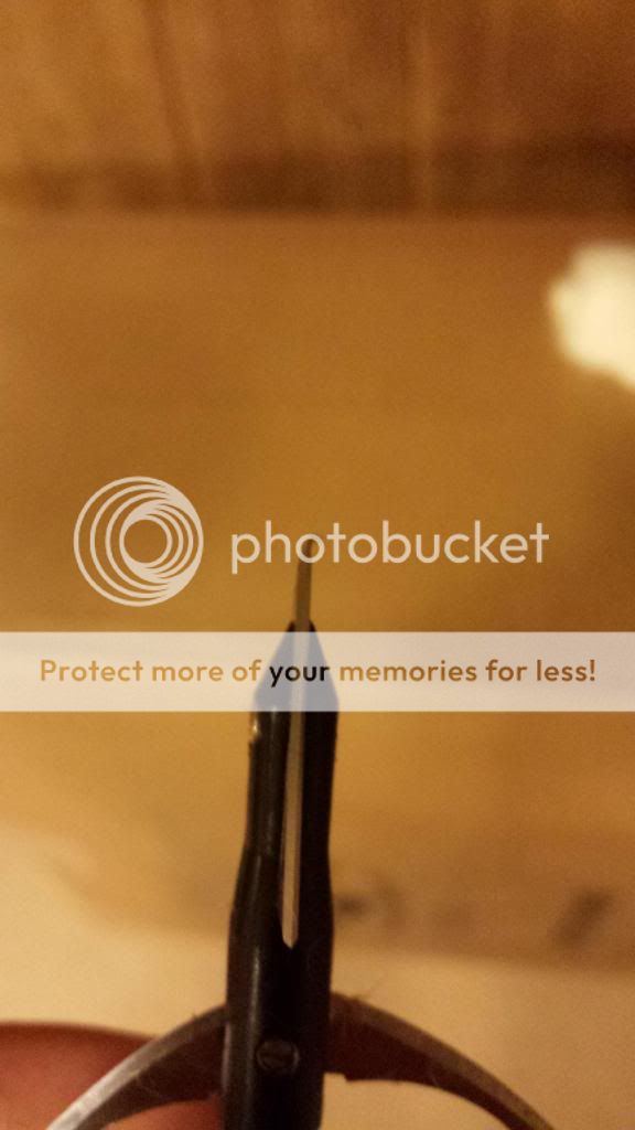 Broadhead test results!!!!!! | Arkansas Hunting